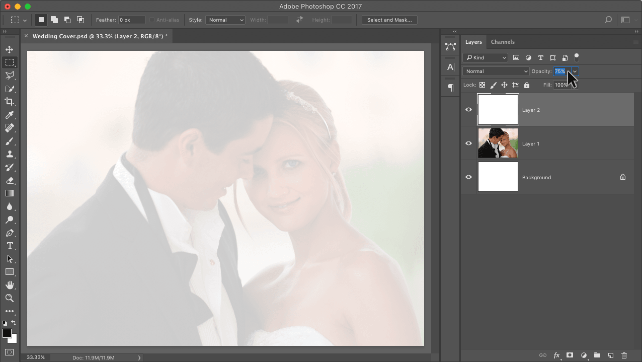 Tip Tuesday: Backscreened Effect Two Ways (Photoshop or Lightroom ...