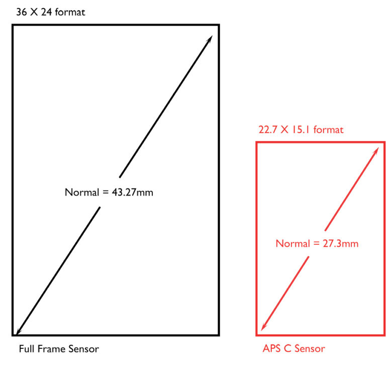 The Long and Short of Focal Length By Kevin Ames - KelbyOne Insider