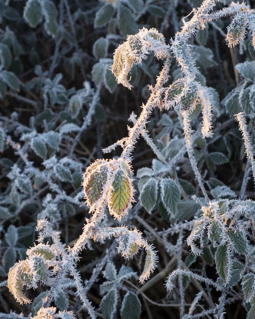 Member Challenge 26 Winner | Michael Leber - KelbyOne Insider