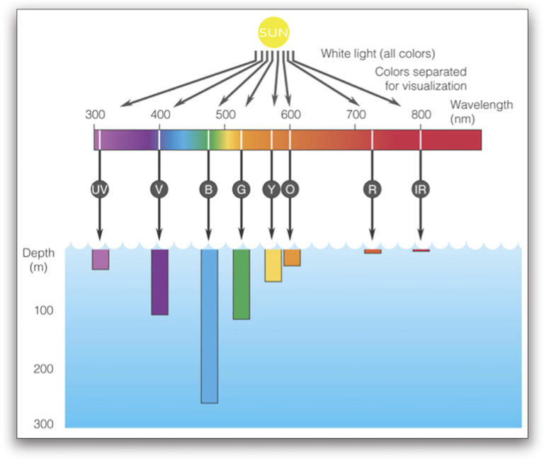 Retouching Underwater Photography by Kristina Sherk - KelbyOne Insider