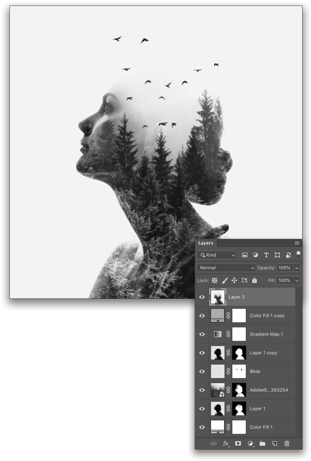 Exploring Double Exposures in Photoshop by Jenna Martin - KelbyOne Insider
