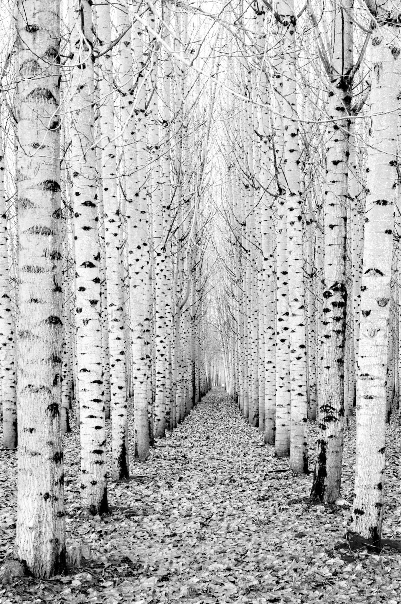 Member Challenge 34 Winner | George Stergiou - KelbyOne Insider