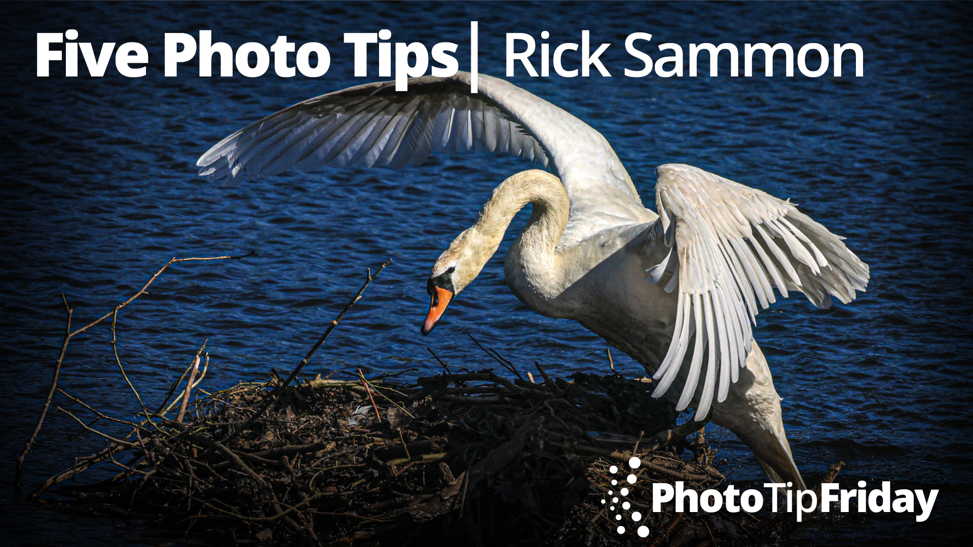 Five Photo Tips with Rick Sammon | Photo Tip Friday - KelbyOne Insider