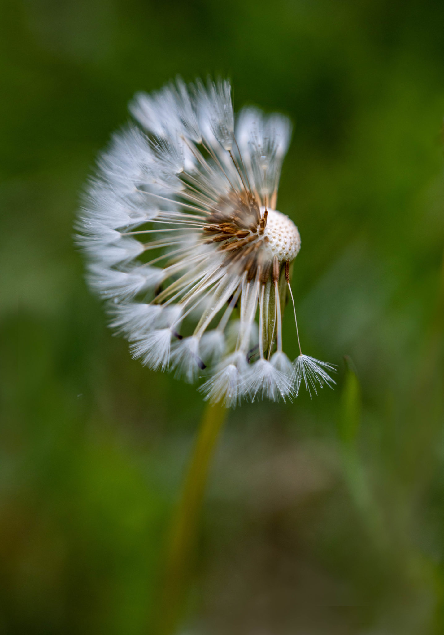 Member Monday Featuring Carol Vipperman - KelbyOne Insider