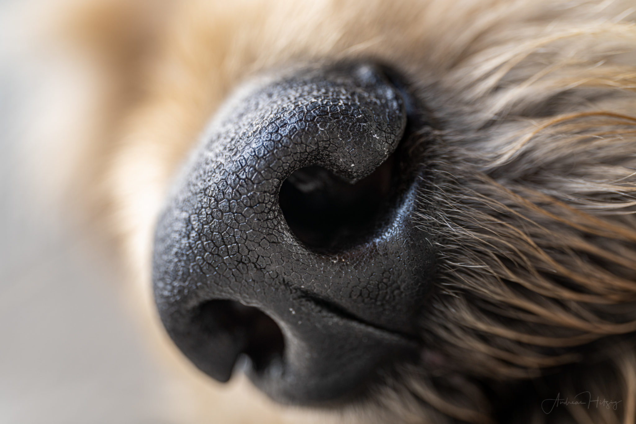 Member Monday Featuring Andreas Hitzig - KelbyOne Insider