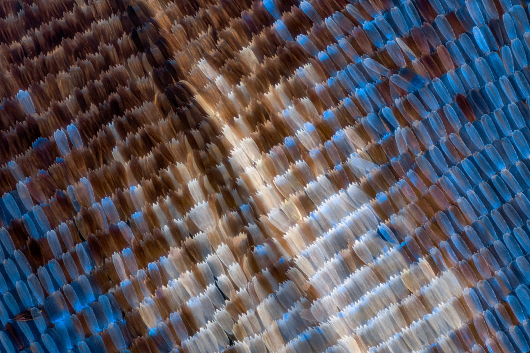 Member Monday Featuring Amy Perlmutter - KelbyOne Insider