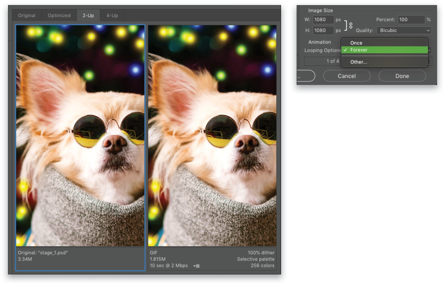 Create a Holiday-Themed Animated GIF by Corey Barker - KelbyOne Insider
