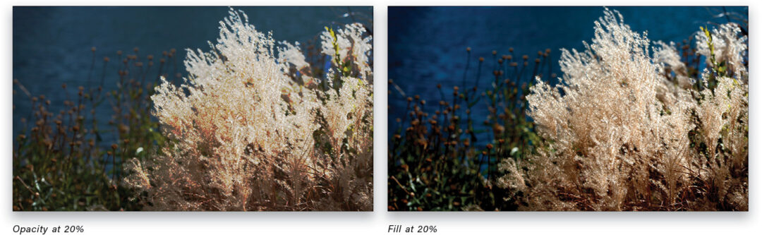 Using Blend Modes With Adjustment Layers by Scott Valentine - KelbyOne ...