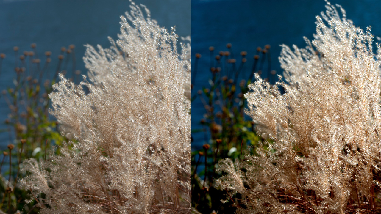 Using Blend Modes With Adjustment Layers by Scott Valentine - KelbyOne ...