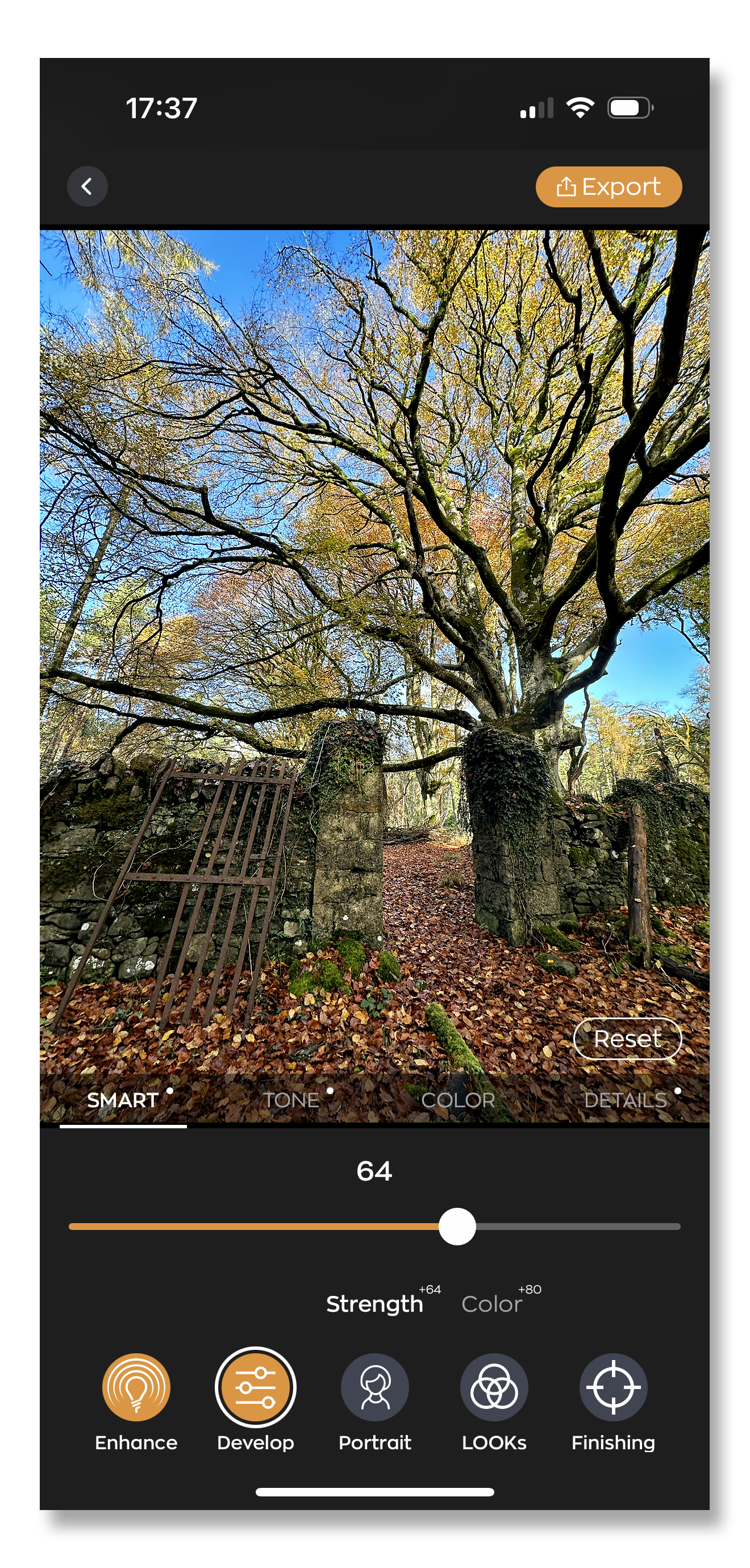 Review—Radiant: AI Photo & Video Editor - KelbyOne Insider