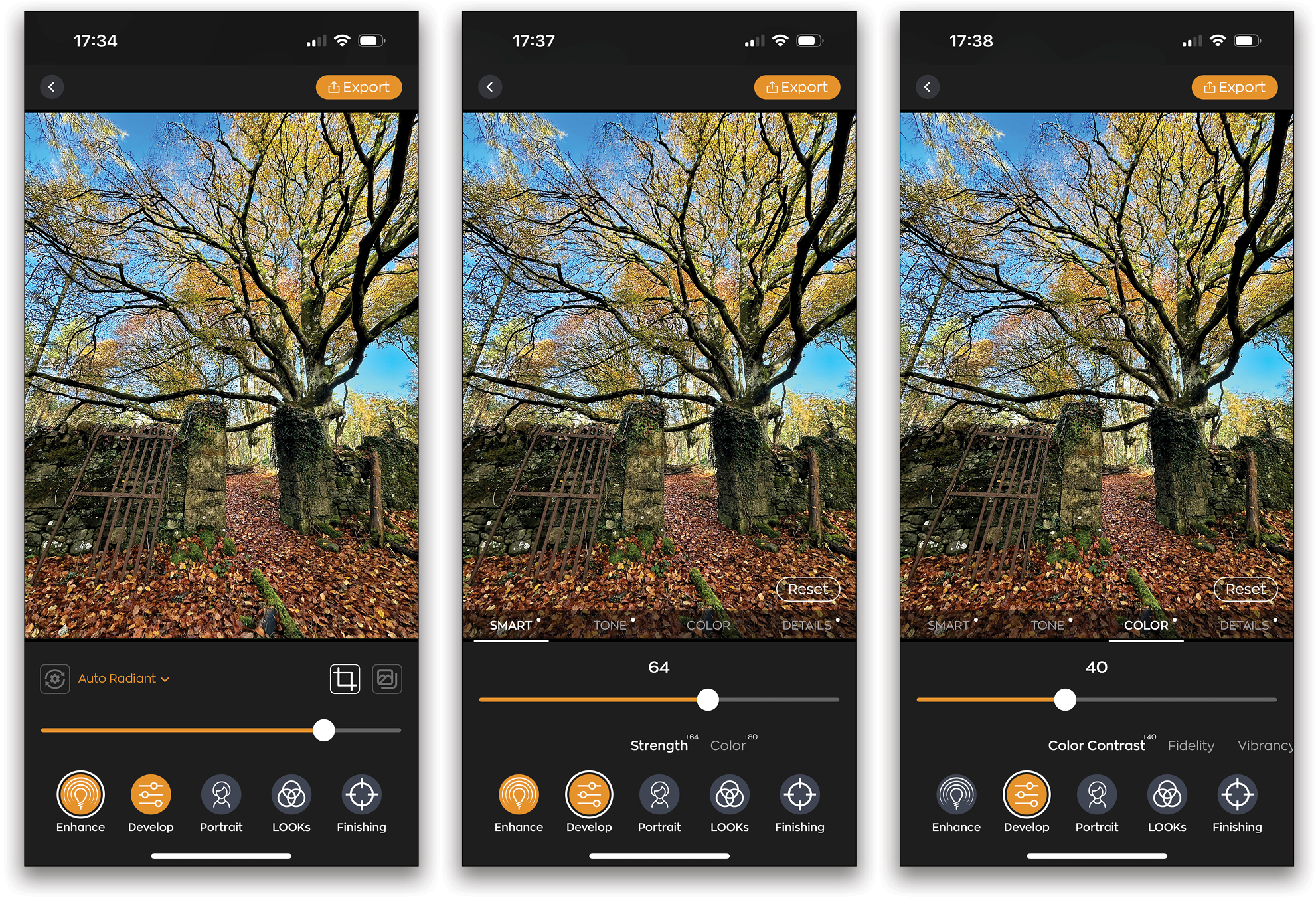 Review: Radiant: AI Photo & Video Editor - KelbyOne Insider
