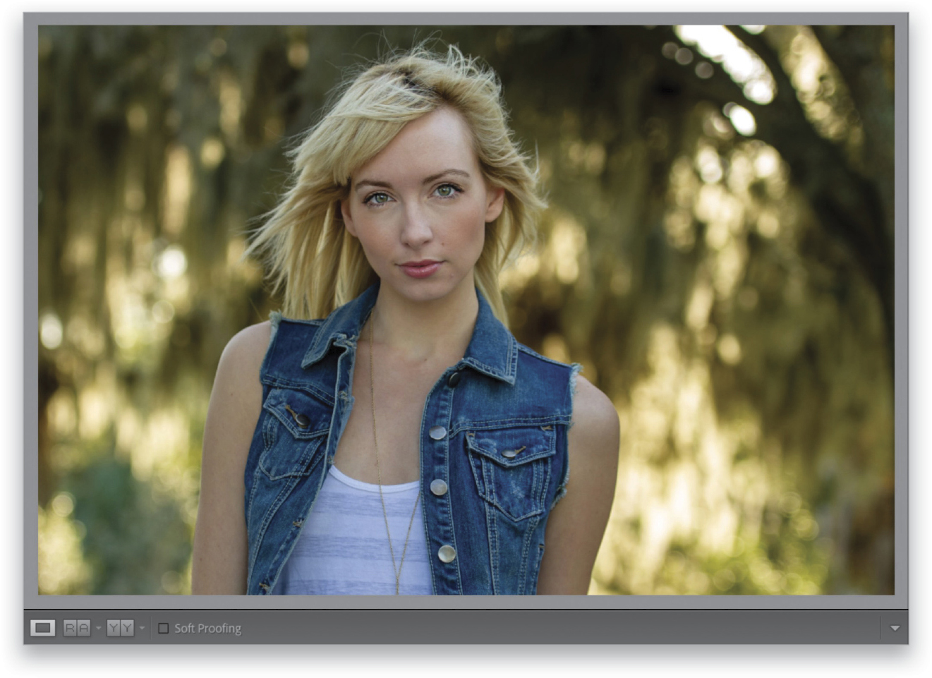 Super Easy Sun Flare Effect in Lightroom - KelbyOne Insider