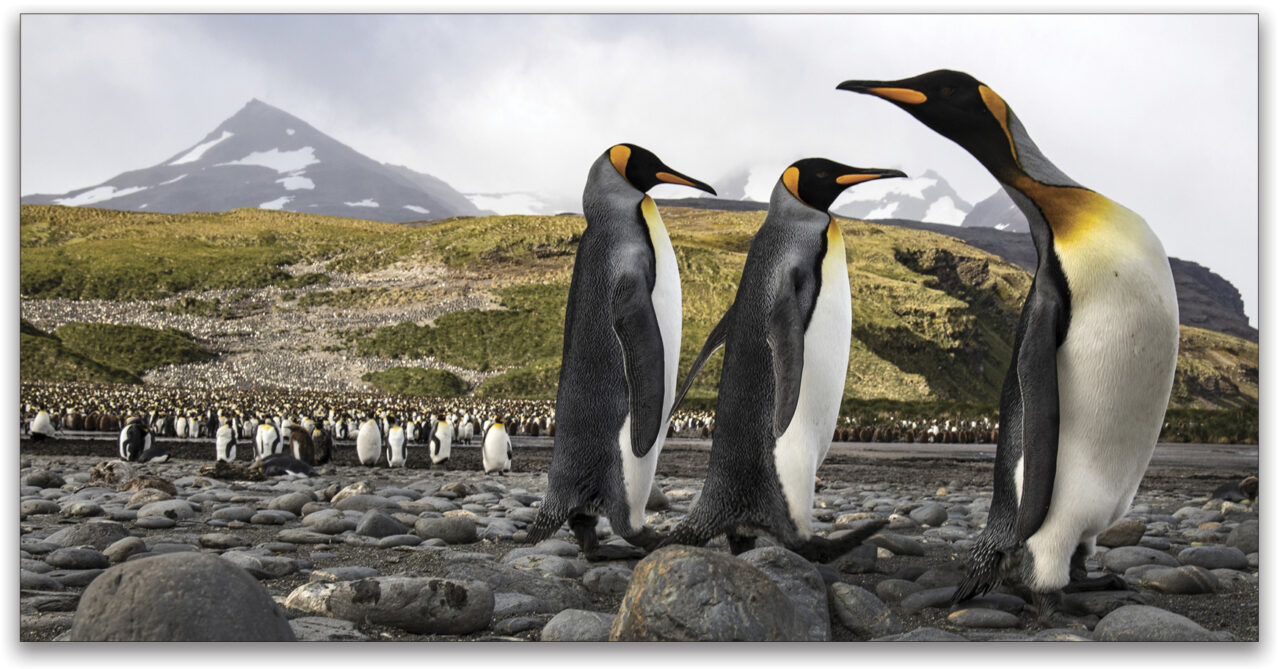 One Photograph, 22 Photo Tips by Rick Sammon - KelbyOne Insider