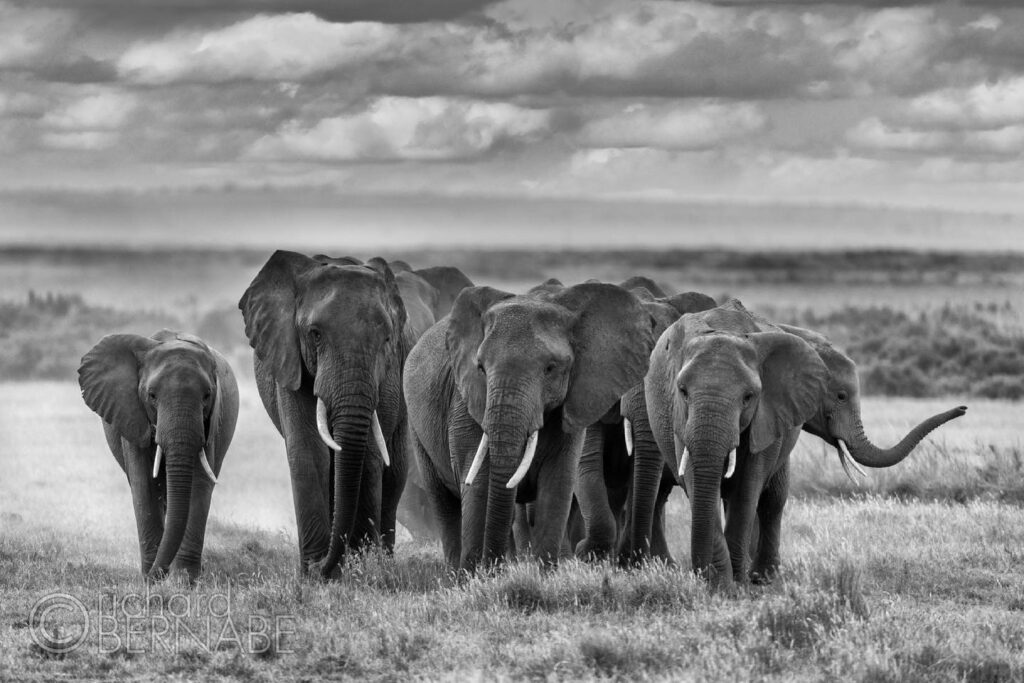 Emotional Impact: The Most Important Skill for Your Photography with Richard Bernabe - KelbyOne ...