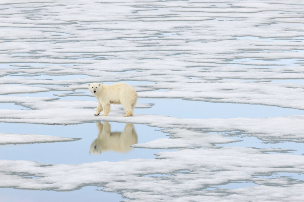 Emotional Impact: The Most Important Skill for Your Photography with ...